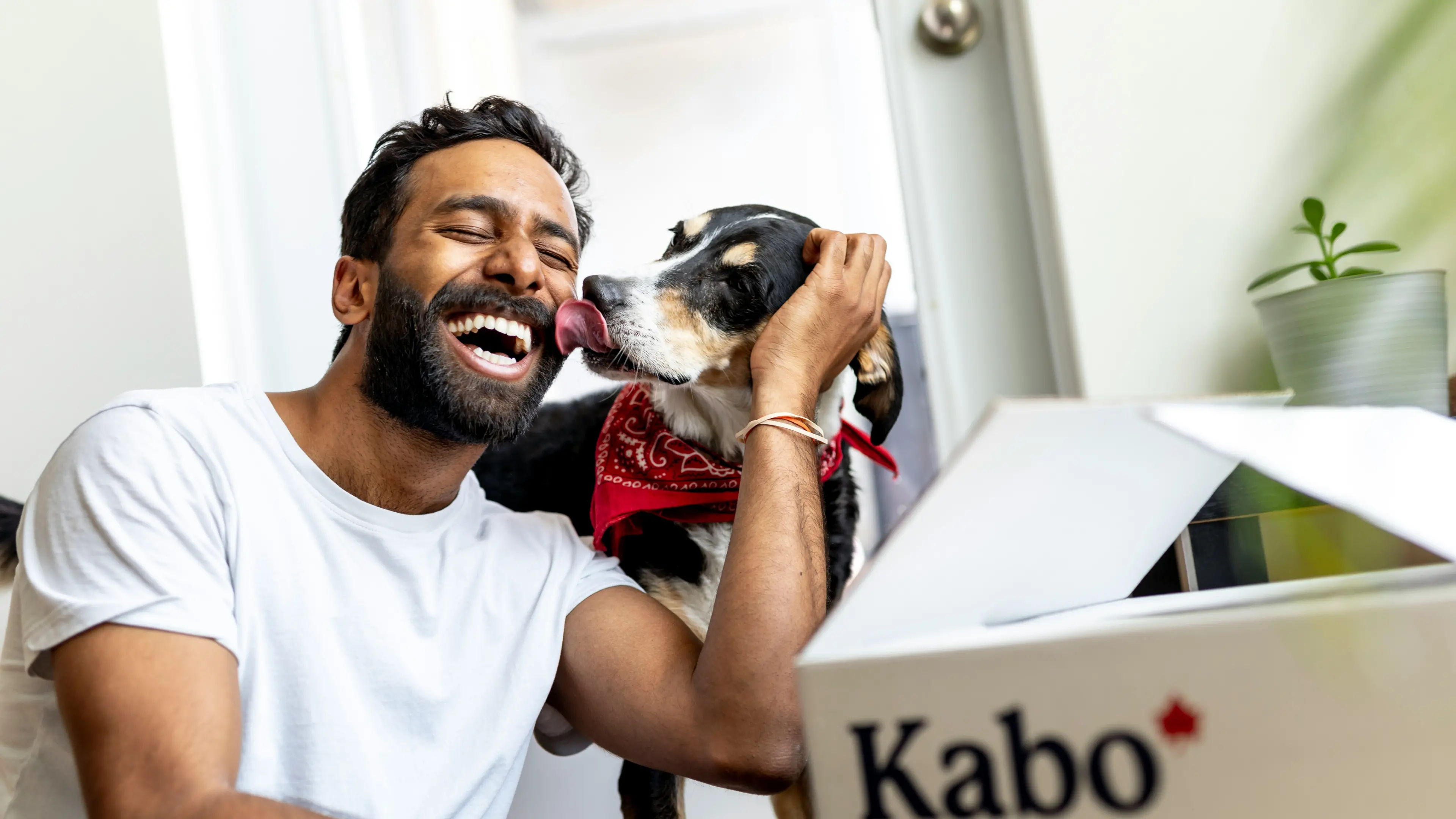 The Best Rock Albums Released This Year: Must-Listen Tracks and ...