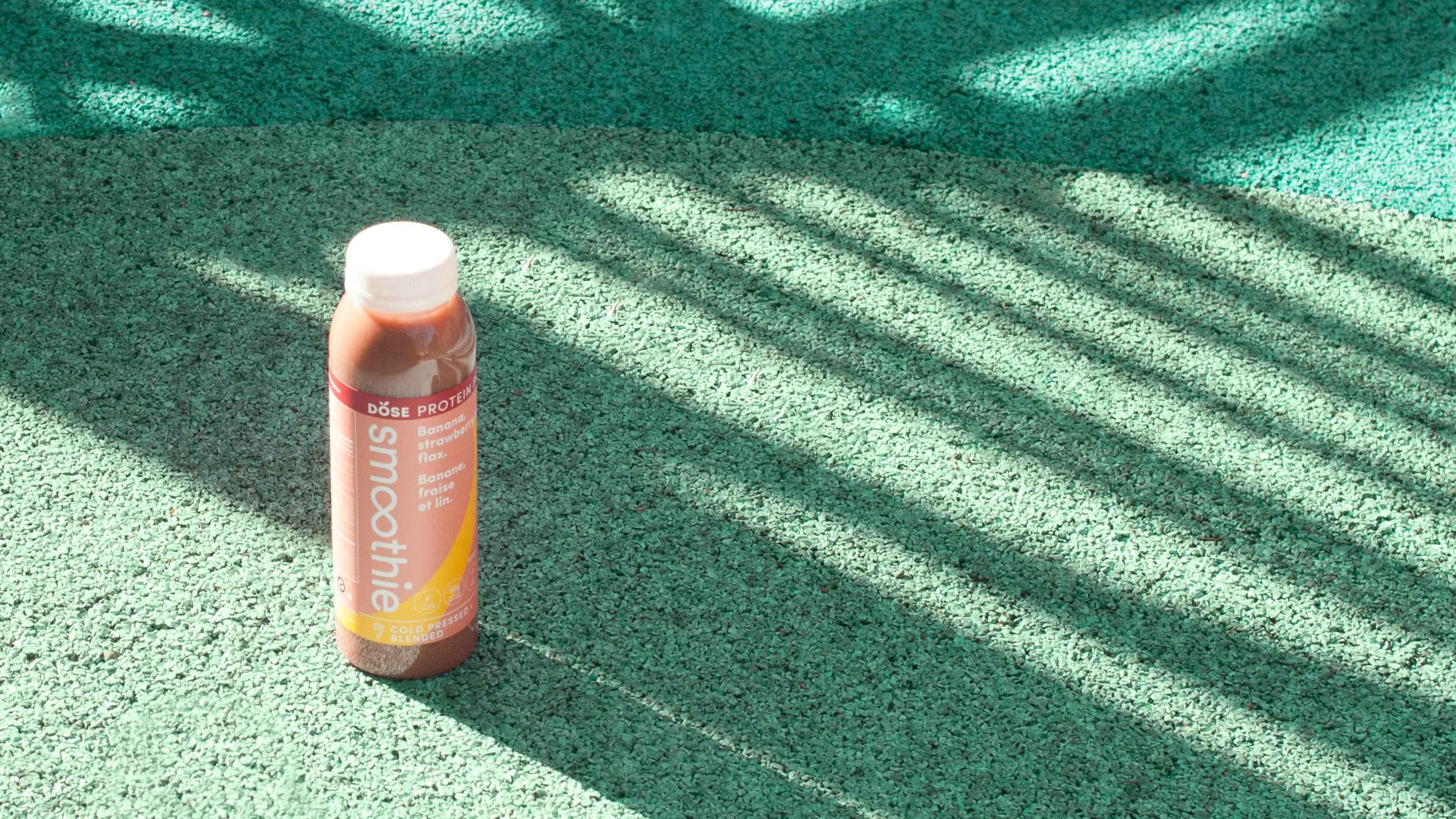 Free Car Maintenance Tips and Resources for Vehicle Owners - Freebies